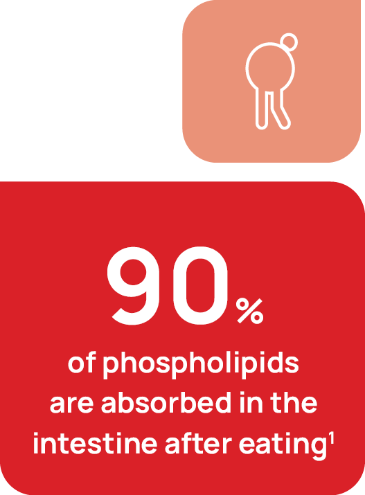 Phospholipids